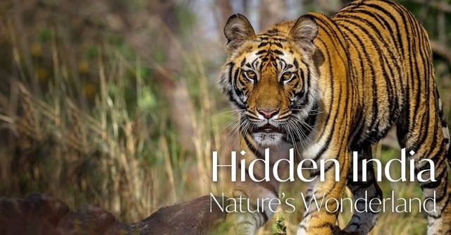 Hidden India - watch tv show streaming online