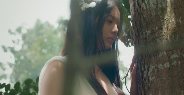 Virgin Forest - movie: watch streaming online