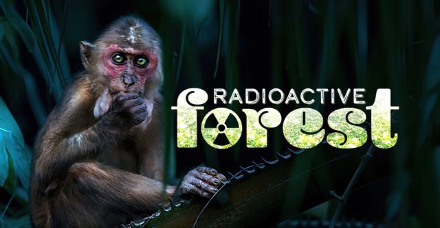 Radioactive Forest: 10 Years After online yayında