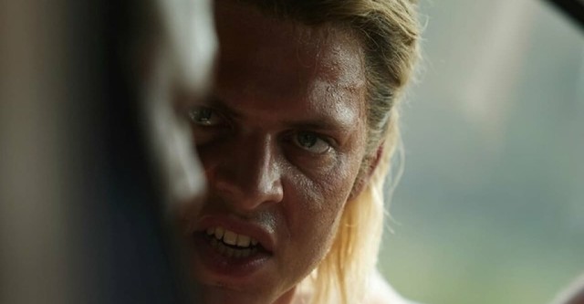 The Viking - Downfall of a Drug Lord Season 1 - streaming