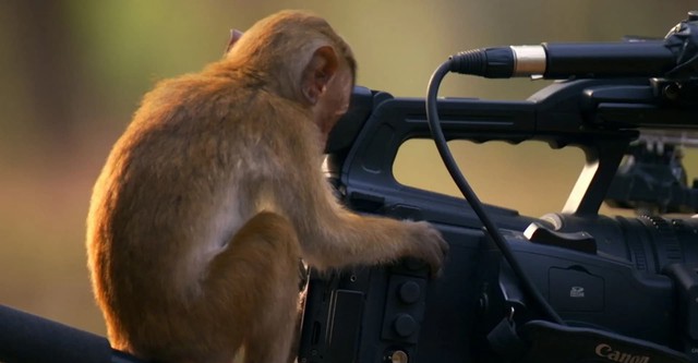 Bad Nature - watch tv show streaming online