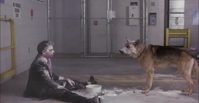 Corky Romano - película: Ver online completa en español