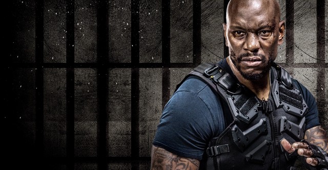 O Sistema filme - Veja onde assistir online