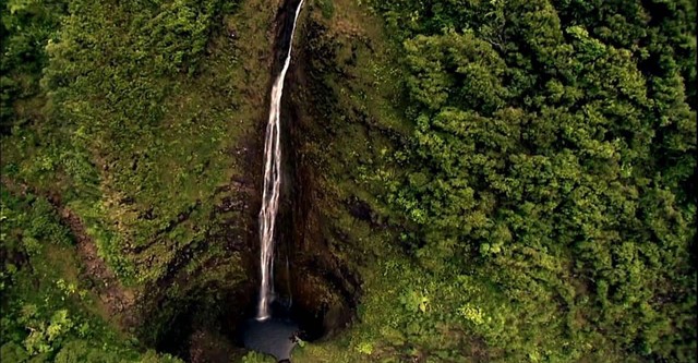 Fearless Planet - streaming tv show online