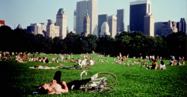Central Park - movie: where to watch streaming online
