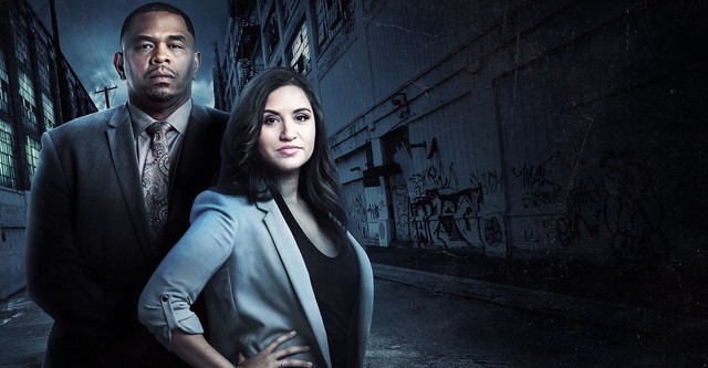 Regarder la série Reasonable Doubt streaming