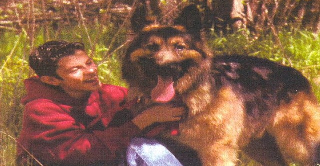 Bring Him Home streaming: where to watch online?