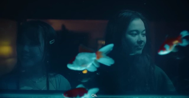 Lucky Fish streaming: where to watch movie online?