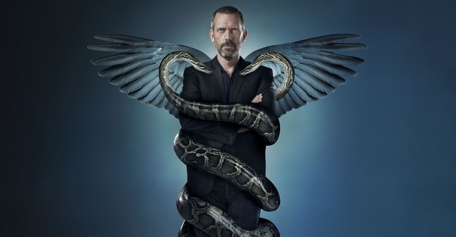 Dr. House temporada 5 - Ver todos los episodios online