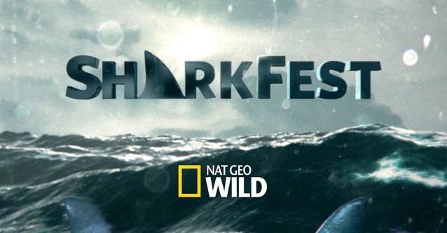 Sharkfest - Ver la serie online completa en español