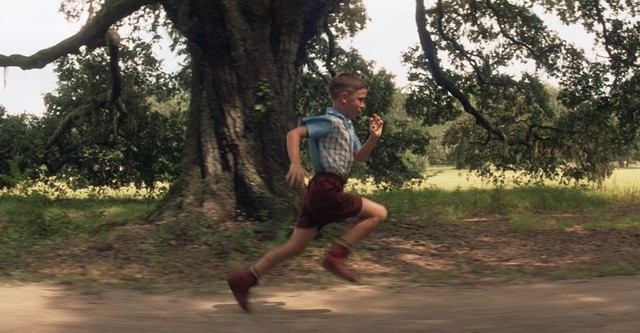 Forrest Gump - movie: where to watch streaming online