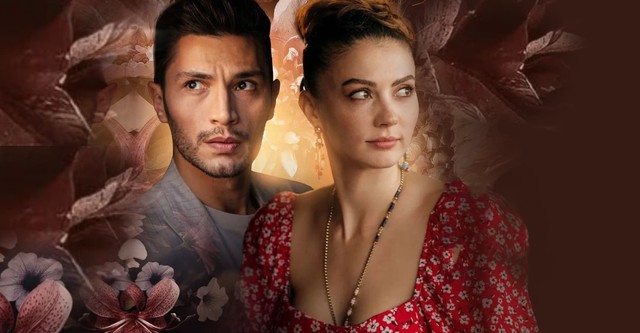 Láska, rozum, pomsta – sledovat seriály online