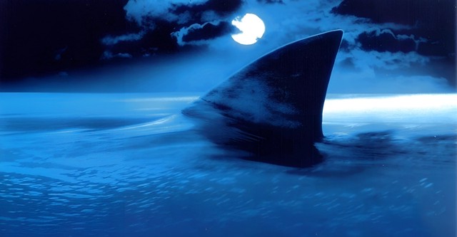 Shark Attack - movie: where to watch streaming online