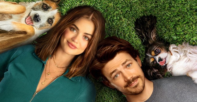 Amor perruno - película: Ver online completa en español