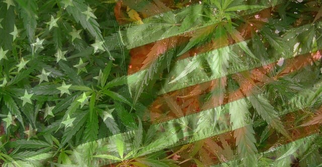 Grass - Stream: Jetzt Film online finden und anschauen