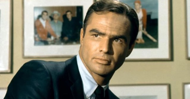 Hawk Season 1 - watch full episodes streaming online