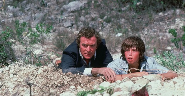 The Island streaming: where to watch movie online?