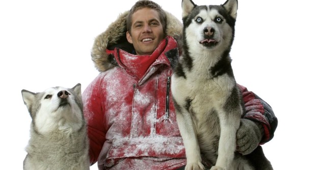 Eight Below Buck