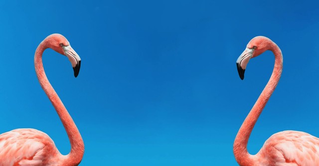 The Mating Game Season 1 - watch episodes streaming online