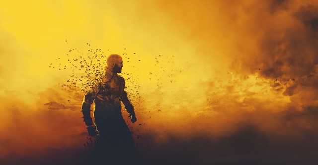 Beekeeper: El protector - película: Ver online