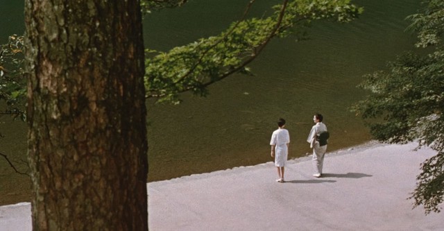 El final del verano - película: Ver online en español