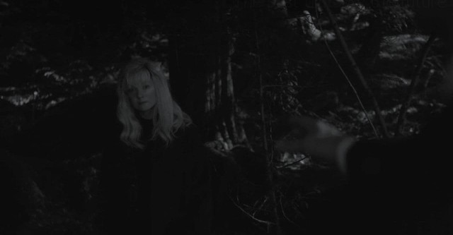 TV Animal Farm - streaming tv show online