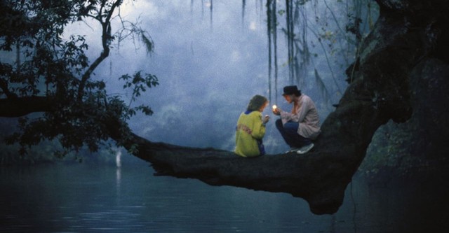 Où regarder Le Bayou en streaming complet et légal