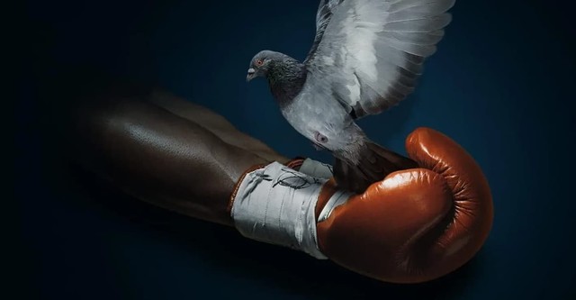 Mike Season 1 - watch full episodes streaming online