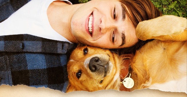 Bailey - Ein Freund fürs Leben - Stream: Online anschauen