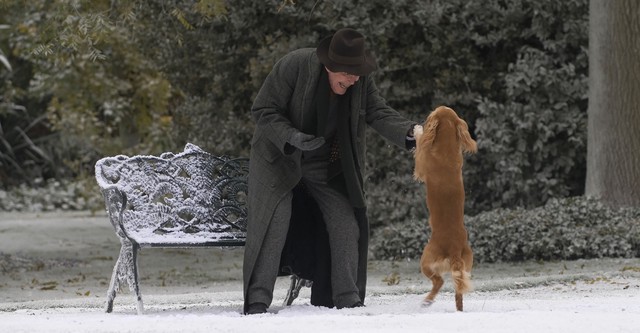 Dean Spanley streaming: where to watch movie online?