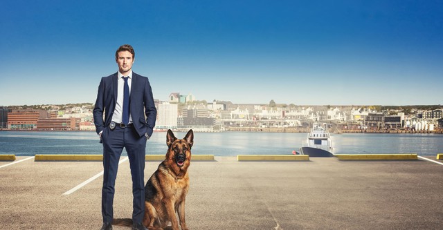 Hudson & Rex Season 7 - watch full episodes streaming online