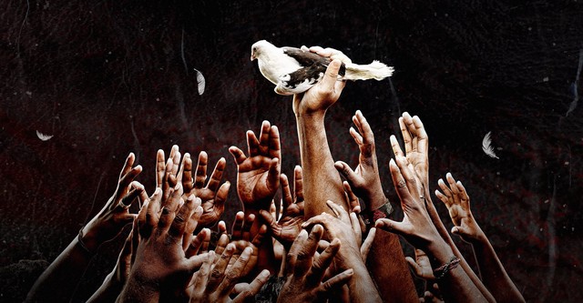 Bairi streaming: where to watch movie online?