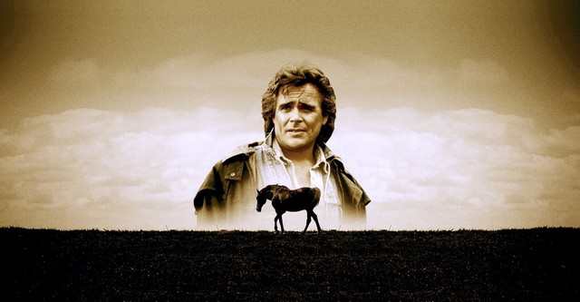 Neon Rider Season 1 - watch full episodes streaming online