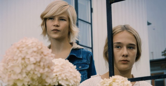 Reliance streaming: where to watch movie online?