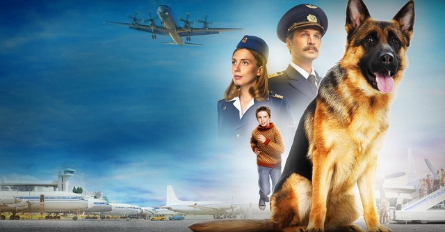A Dog Named Palma streaming: where to watch online?