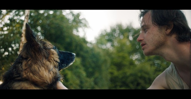 Dog Run streaming: where to watch movie online?