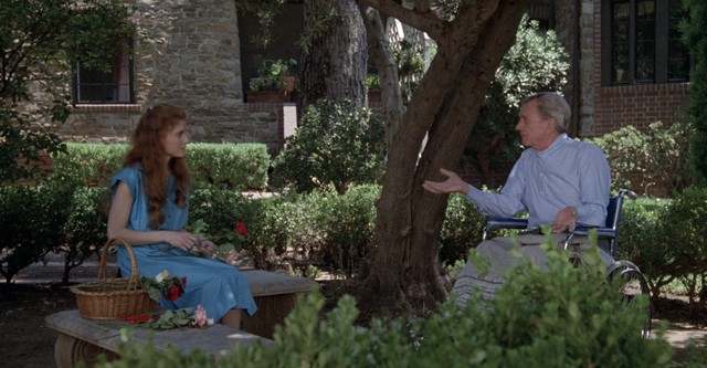 Delusion streaming: where to watch movie online?