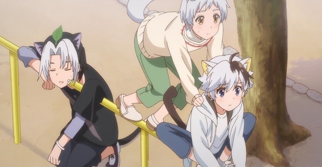 Uchitama?! Have you seen my Tama? - online yayın