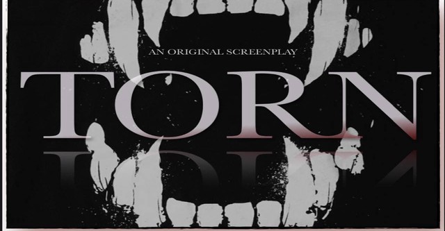 Torn streaming: where to watch movie online?