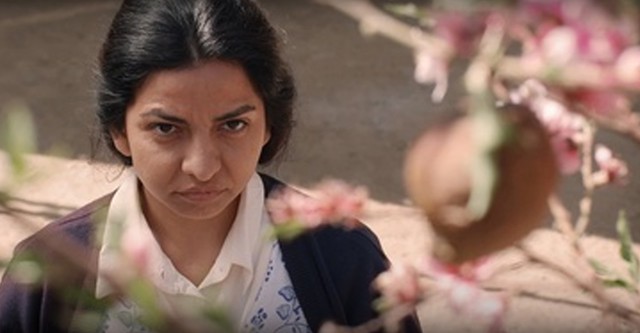 Durazno - película: Ver online completa en español