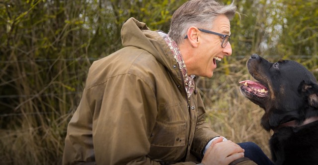 Dogs Behaving (Very) Badly Season 3 - episodes streaming online