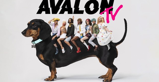 Avalon TV Season 2 - watch full episodes streaming online