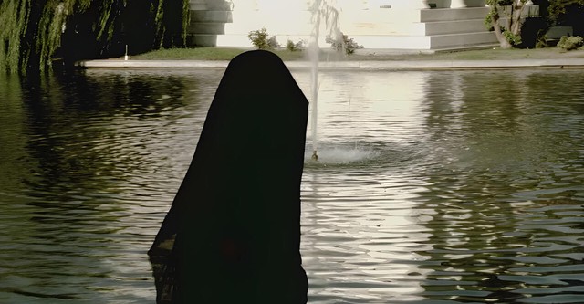 Silent Life: The Story of the Lady in Black streaming