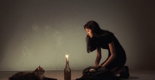 The Cat streaming: where to watch movie online?