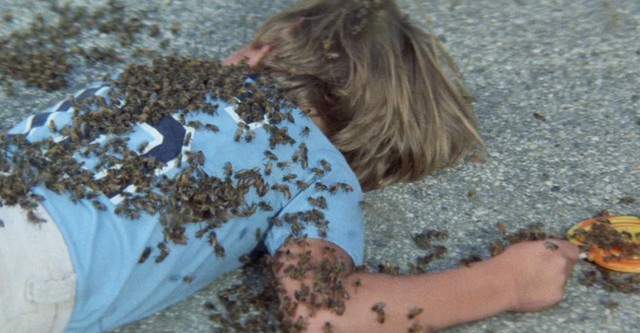 Attack Of The Killer Swarm Killer Bees (Deadliest Animals): Culliford,