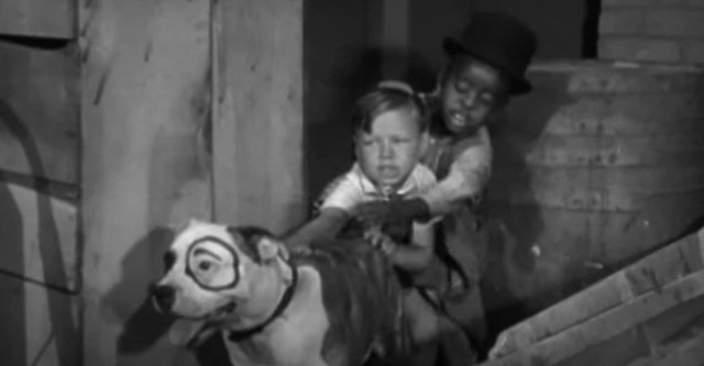 Shiver My Timbers streaming: where to watch online?