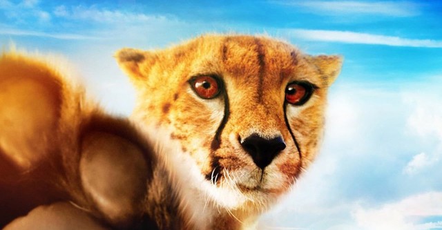 One Life streaming: where to watch movie online?