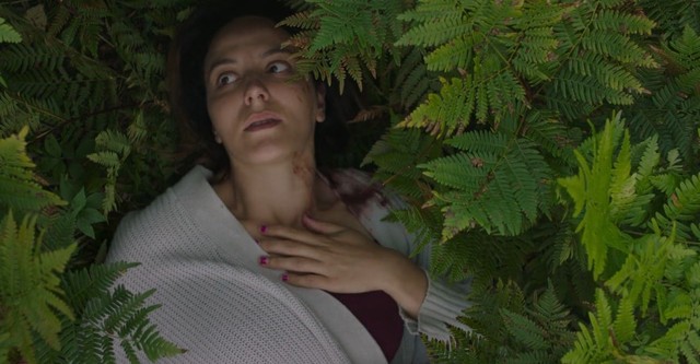 Ravenous streaming: where to watch movie online?