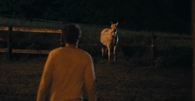 Skin & Bone - film: dove guardare streaming online