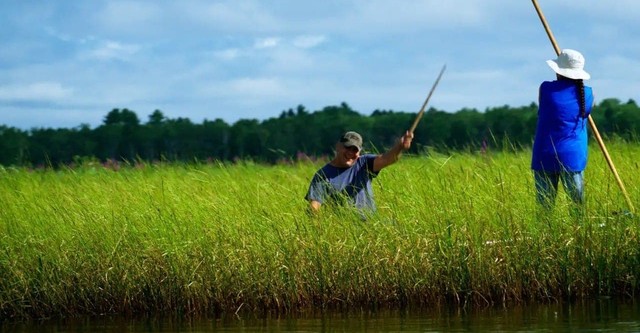 Bad River streaming: where to watch movie online?